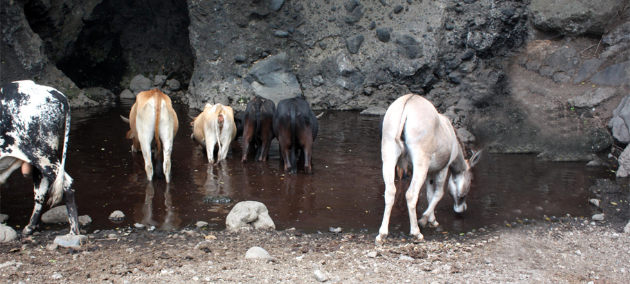 Hydrex Philanthropic – Making Contaminated Drinking Water History